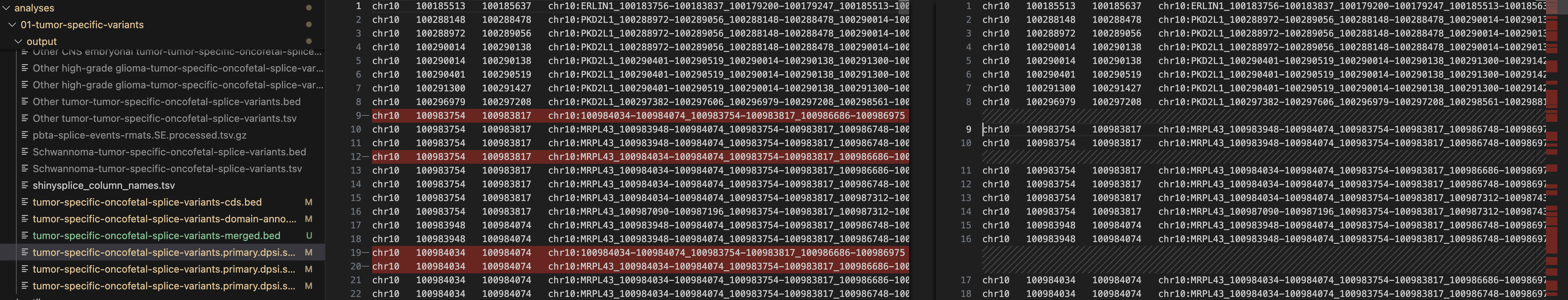 Using VSCodium for Code Reviews - CNH BTI Bioinformatics